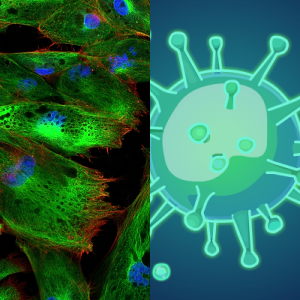 Lesson: World of Cells - Free Games and Assessments - Legends of Learning