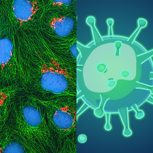 Teaching Plan: Cell Theory 7.12F - Free Games and Assessments - Legends ...