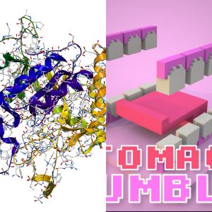 Free Educational Games: Digestion as Molecular Breakdown TEKS 2010 - 7 ...
