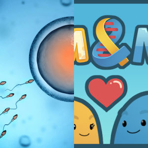 Practice: Sexual Reproduction and Genetic Variation MS-LS3.B-1 - Free ...