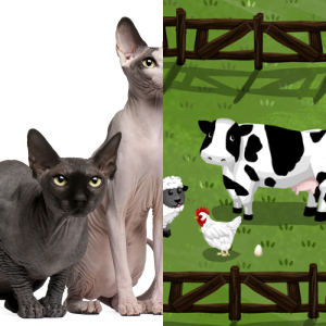 Practice: Artificial Selection via Selective Breeding MS-LS4.B-2 - Free ...