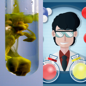 Worksheet: Conservation of Matter in Chemical Reactions MS-PS1.B-2 ...