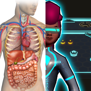 Practice: Pre-test Digestive system - Free Games and Assessments ...