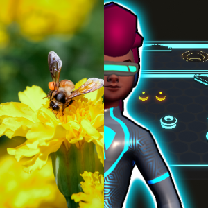 For Class: Sexual Reproduction in Plants SC.4.L.16.1 - Free Games and ...