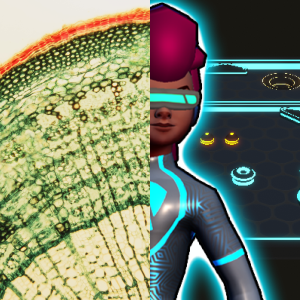 Free Homework Prep: Plant vs. Animal Cells S5L3.c - Free Games and ...