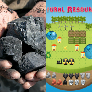 Worksheet: Natural Resources MS-ESS3.A-1 - Free Games and Assessments ...