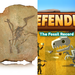 Game Based Learning: Fossils 5.9d - Free Games and Assessments ...
