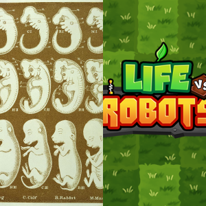 Practice: Embryological Evidence for Common Ancestry MS-LS4.A-3 - Free ...