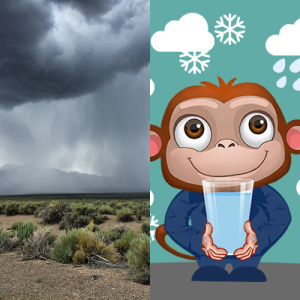 Free Lesson: The Water Cycle and Weather Patterns MS-ESS2.C-2 - Free ...