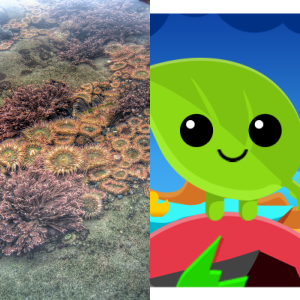 Teaching Plan: Earth's Ecosystems 5.L.4A - Free Educational Games ...