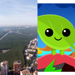 Lesson: Biodiversity and Humans 3.LS4.3 - Free Games and Assessments ...