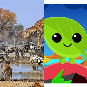 Free Homework Prep: Interactions in Ecosystems MS-LS2.A-1 - Free Games ...
