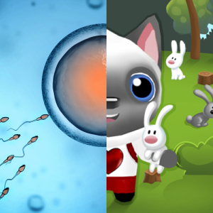 Teaching Plan: Sexual Reproduction and Genetic Variation MS-LS3.B-1 ...