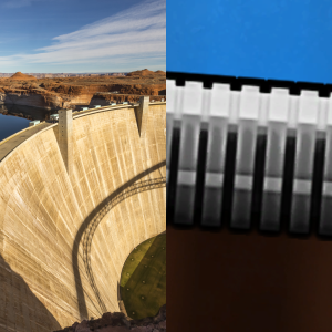 Teaching Plan: Human Impacts on Earth Systems MS-ESS3.C-1 - Free ...