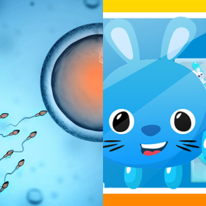 Free Lesson: Sexual Reproduction and Genetic Variation MS-LS3.B-1 ...