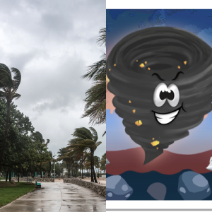 Free Educational Games: Natural Disasters SC.6.E.7.7 - Free Games and ...