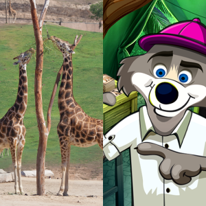 Lesson: Natural Selection MS-LS4.B-1 - Free Games and Assessments ...