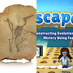 Free Educational Games: Reconstructing Evolutionary History Using ...