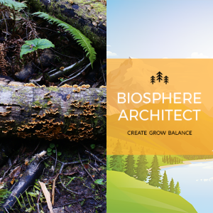 Worksheet: Cycles of Matter and Energy Transfer in Ecosystems 5-LS2.B-1 ...