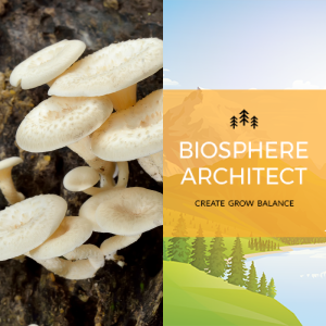 Student Lesson: Movement Of Matter Among Living Things And The ...