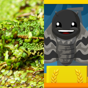 Free Homework Prep: Adaptation MS-LS4.C-1 - Free Games and Assessments ...