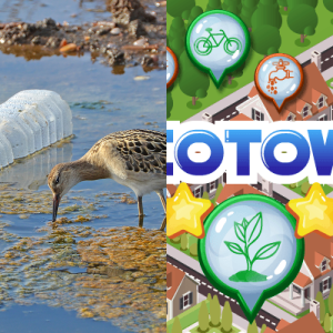 Game Based Learning: Effect of Pollution on the Environment S3L2.a ...