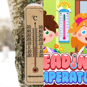 Worksheet: Reading Temperature 3.10T - Free Games and Assessments ...