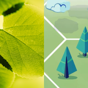 Worksheet: Matter and Energy Flow in Organisms 7.LS1.9 - Free Games and ...