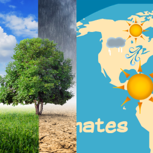 Teaching Plan: Weather vs. Climate 5.8A - Free Games and Assessments ...