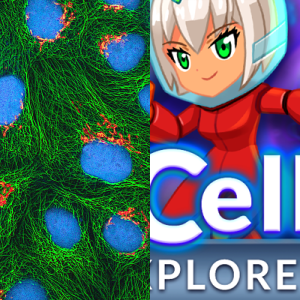 Teaching Plan: Cell Explorers - Free Games and Assessments - Legends of ...