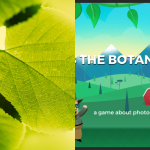 Practice: Photosynthesis - Free Games and Assessments - Legends of Learning