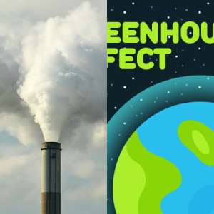 For Class: Greenhouse Effect MS-ESS3.D-1b - Free Games and Assessments ...