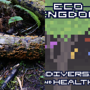 Free Homework Prep: Energy Flows Through A Carbon Cycle 8.3.3 - Free ...