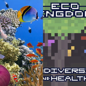 Game Based Learning: SCI 131 Biodiversity game - Free Games and ...