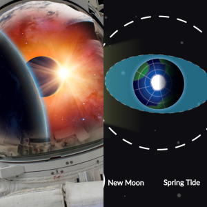 Lesson: Physical Characteristics of the Sun, Earth, and Moon 5.8d ...