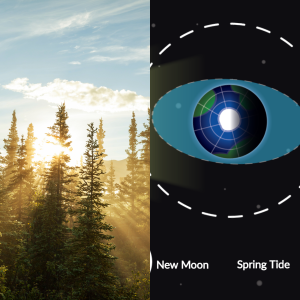 Student Lesson: Seasonal Day and Night Changes S4E2.a - Free Games and ...