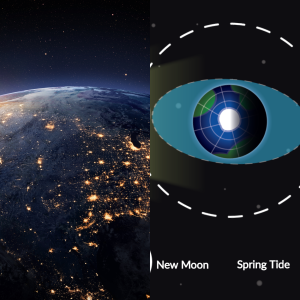 Free Lesson: Earth's Orbit 4.ESS1.2 - Free Games and Assessments ...