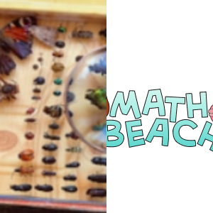 Practice: Plot, Order and Compare Numbers to 10,000 MA.3.NSO.1.3 - Free ...