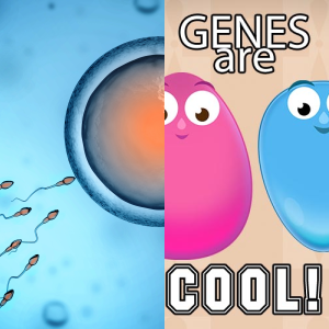 Free Educational Games: Sexual Reproduction and Genetic Variation ...