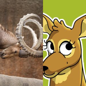 Free Lesson: Plant and Animal Reproduction Strategies 7.10 - Free Games ...