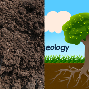 Free Educational Games: Formation of Soils 3.7a Pre/Game/Post - Free ...