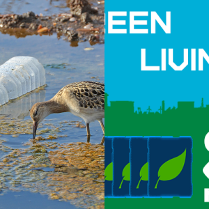 Free Educational Games: Climate Change: Making it Personal RARE.MIP ...