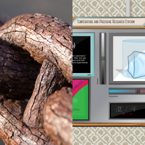 Free Educational Games: Chemical and Physical Properties S8P1.c - Free ...