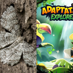 For Class: Science Center: 1/31-2/4 Adaptation Explorer - Free Games ...