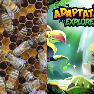 Lesson: Adaptation of Populations 3.4a - Free Games and Assessments ...