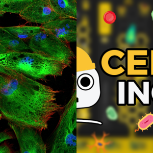 Student Lesson: Cells and Life MS-LS1.A-1 - Free Games and Assessments ...