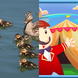 Free Educational Games: Major Systems of the Human Body 5.L.1.2 - Free ...