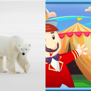 Lesson: Inherited Traits and Environmental Influences 5.LS3.1 - Free ...