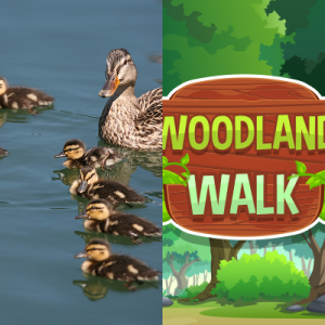 For Class: Inheritance of Traits 1-LS3.A-1 - Free Games and Assessments ...