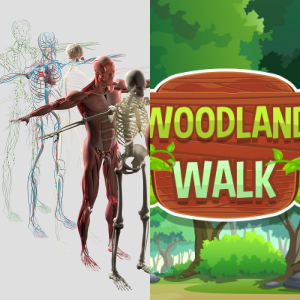 Practice: Human Body Parts and Their Functions SC.2.L.14.1 - Free Games ...